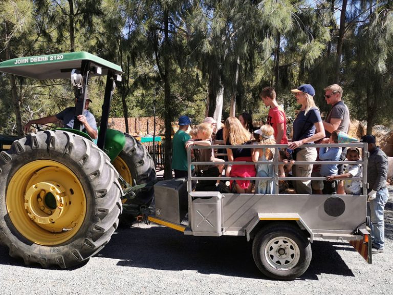 Gallery – Fynbos Guest Farm